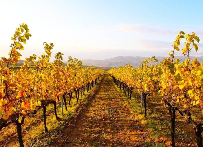 Kırsal ve Köy Evlerinde Romantik Kaçamaklar: Doğanın İçinde Özel Tatil